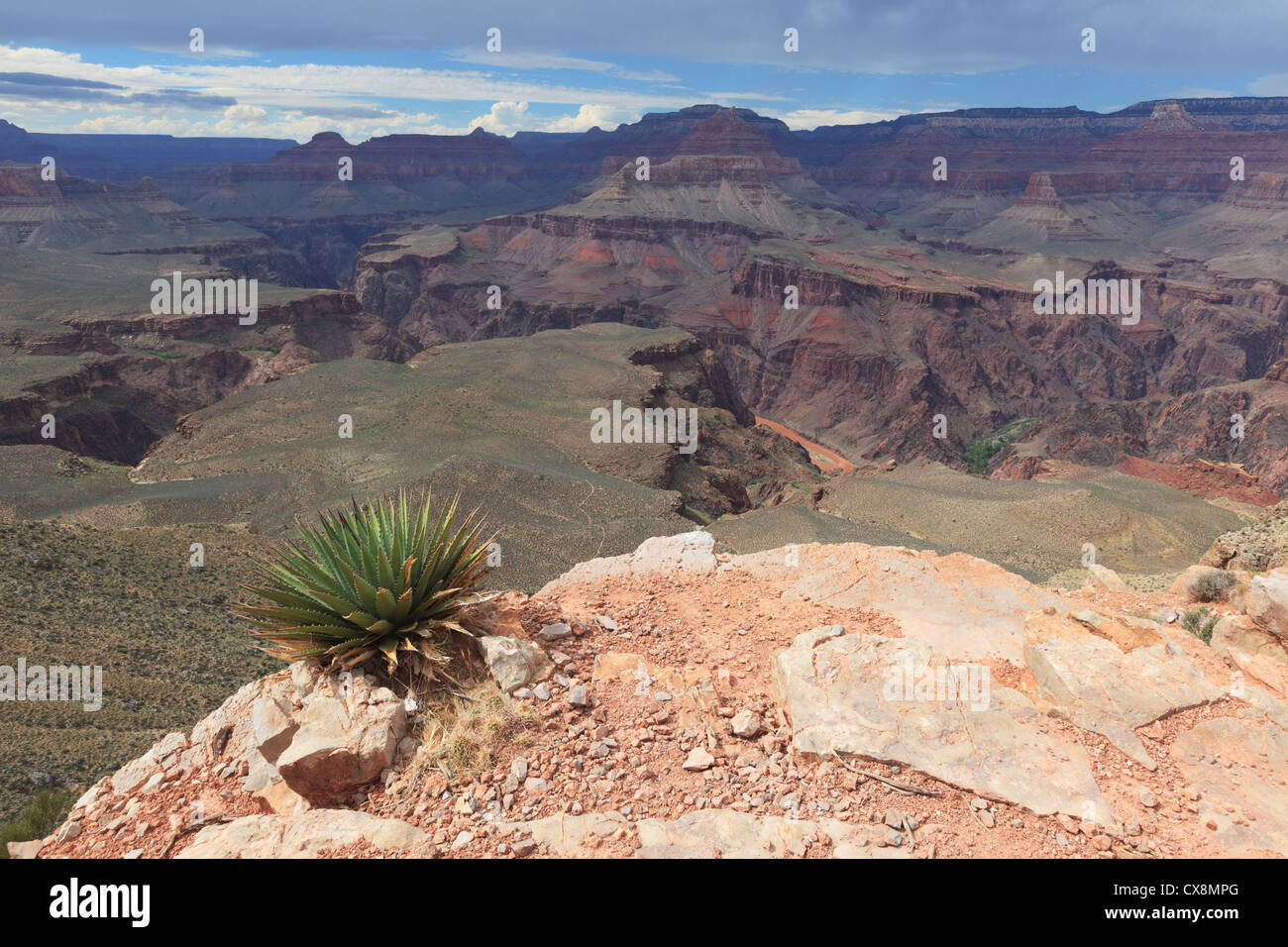 View of the inner Grand Canyon from Skeleton Point with Colorado River ...