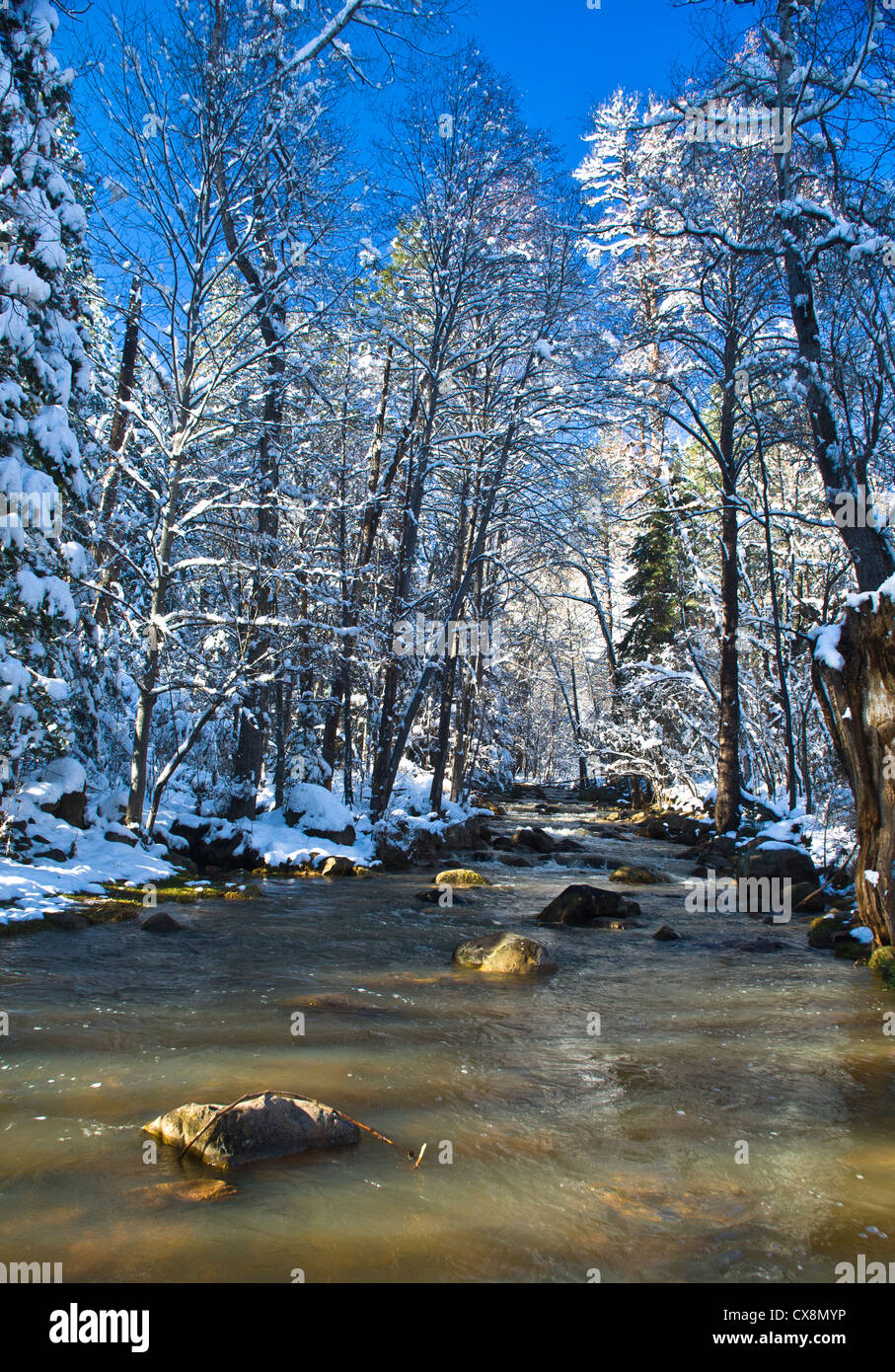 Mogollon rim snow hi-res stock photography and images - Alamy