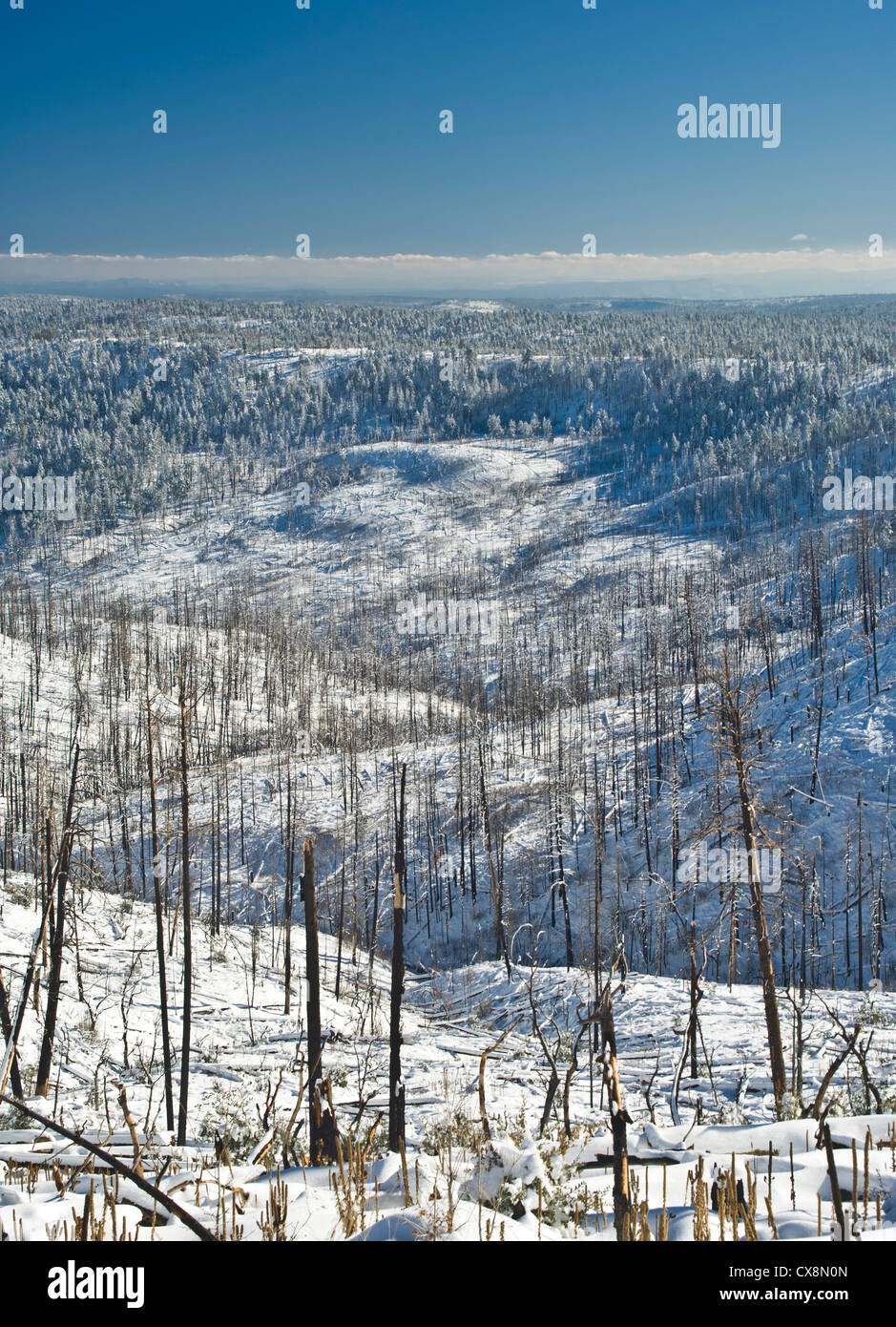 Mogollon rim in the winter hi-res stock photography and images - Alamy