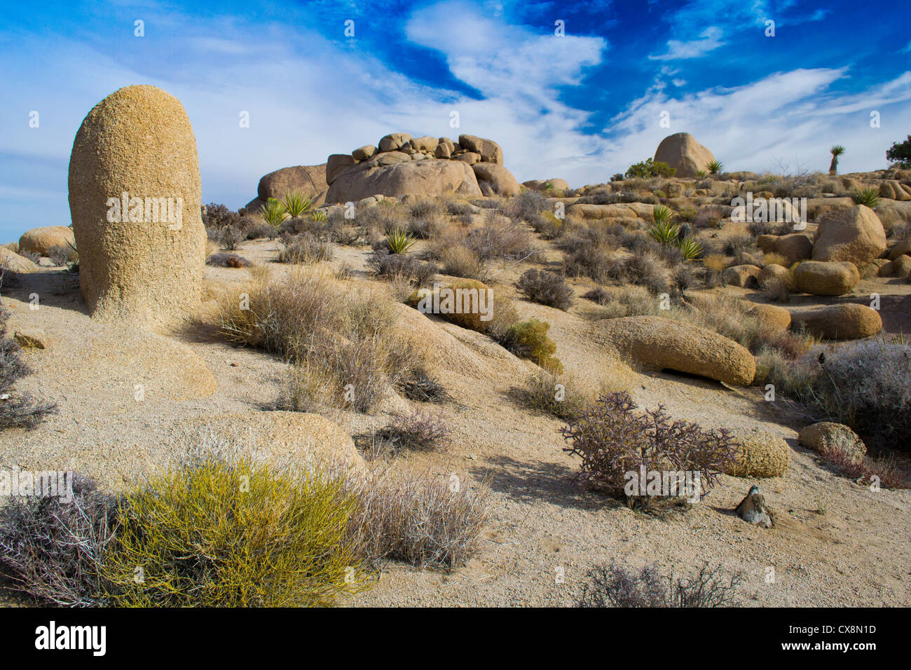 Stones joshua tree national park hi-res stock photography and images ...