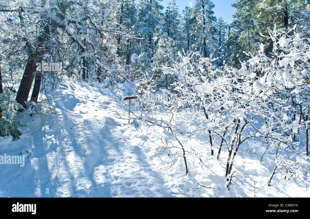 Mogollon rim snow hi-res stock photography and images - Alamy