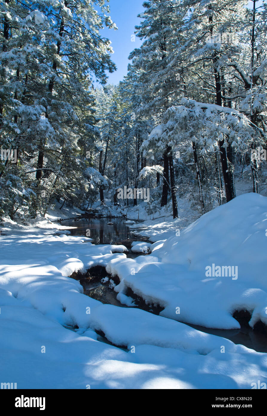 Mogollon Rim Snow Stock Photos & Mogollon Rim Snow Stock Images - Alamy