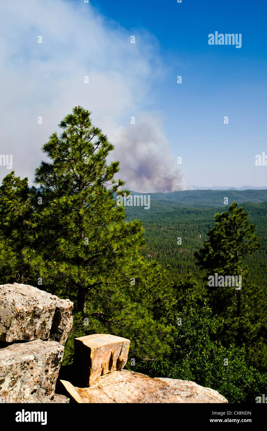 The Poco Fire burning in the Tonto National Forest six miles northeast ...