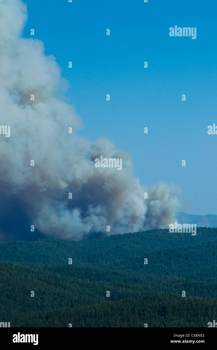 The Poco Fire burning in the Tonto National Forest six miles northeast ...