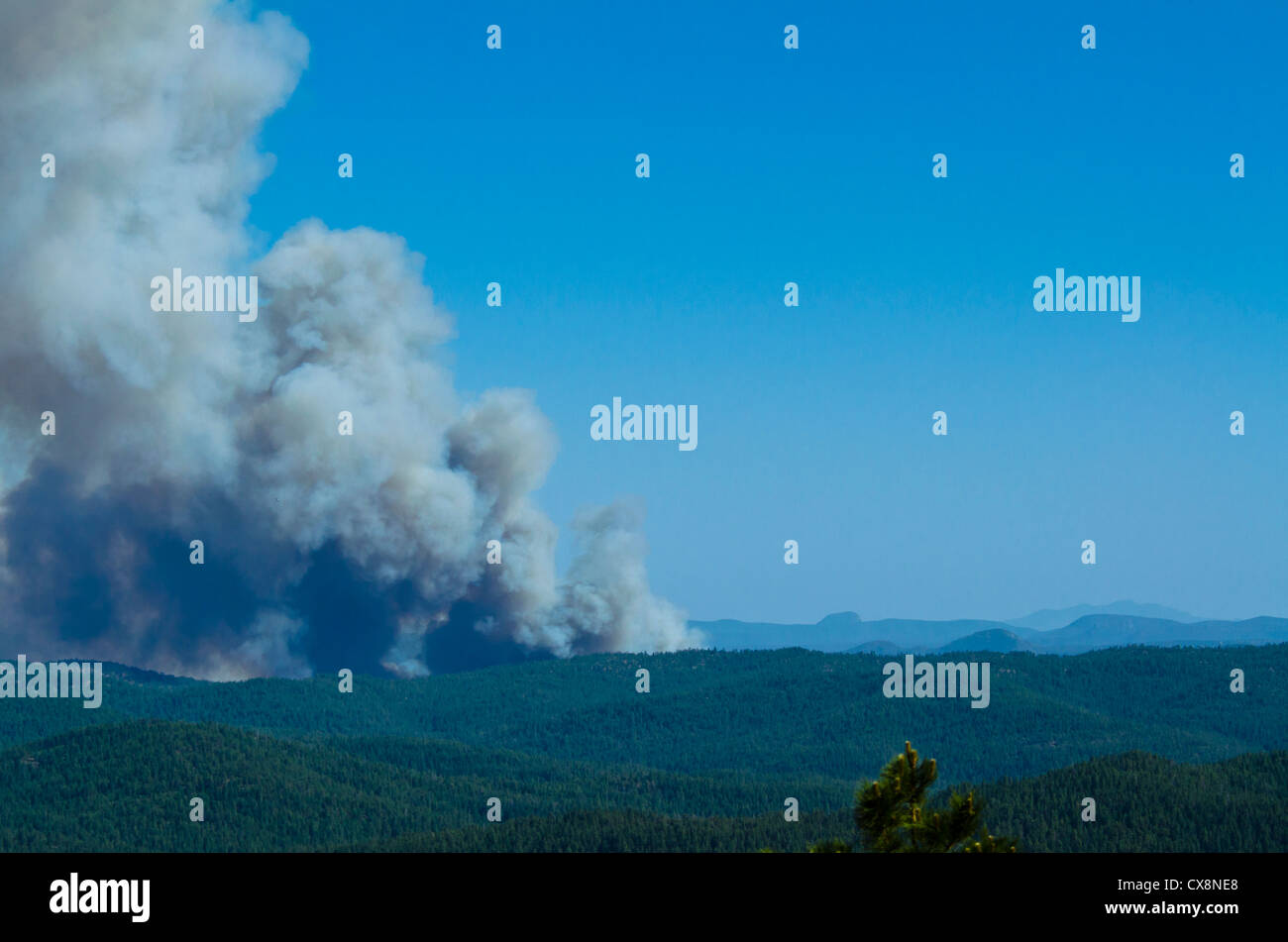 The Poco Fire burning in the Tonto National Forest six miles northeast ...