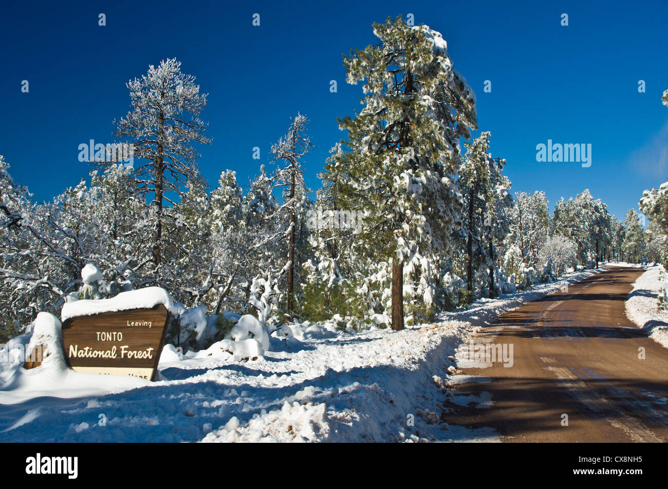 The Mogollon Rim is a topographical and geological feature running ...
