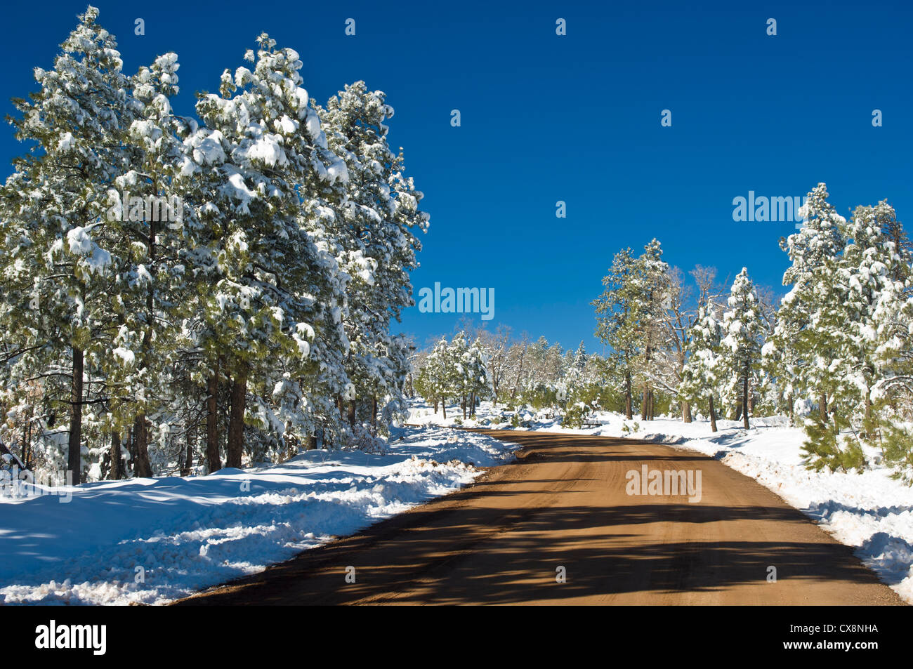 The Mogollon Rim is a topographical and geological feature running ...