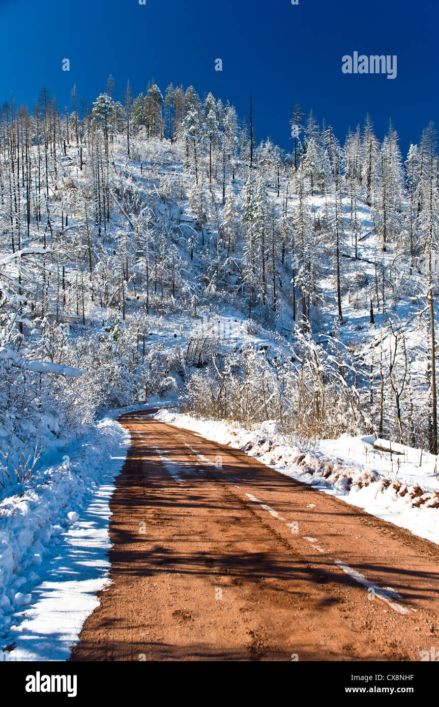 Mogollon rim arizona road hi-res stock photography and images - Alamy