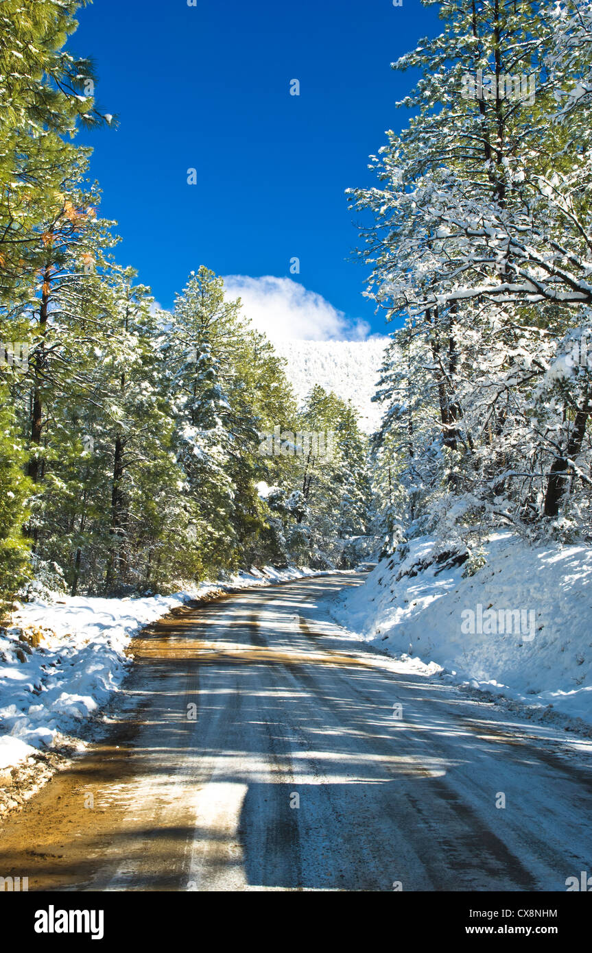 The Mogollon Rim is a topographical and geological feature running ...