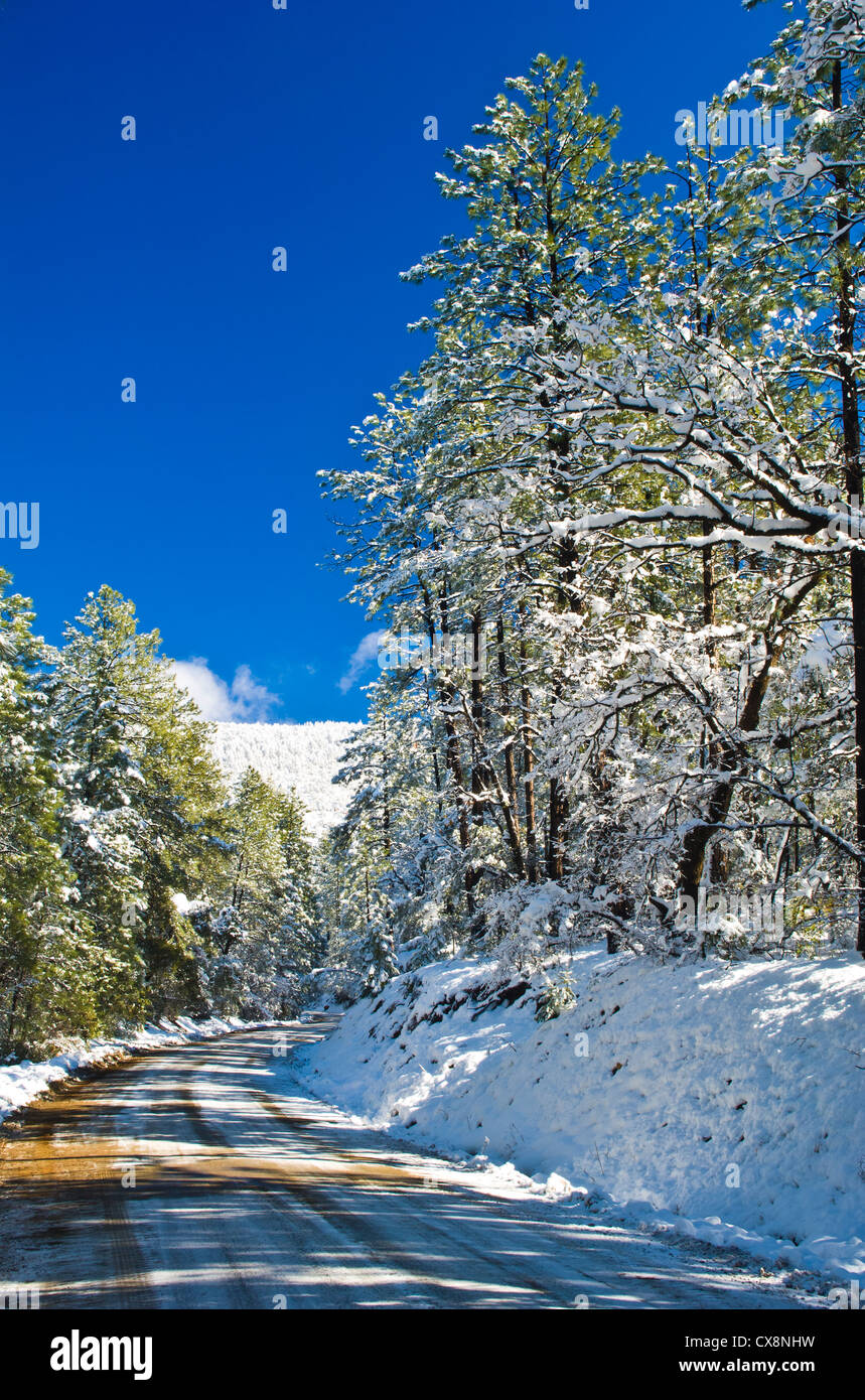 The Mogollon Rim is a topographical and geological feature running ...