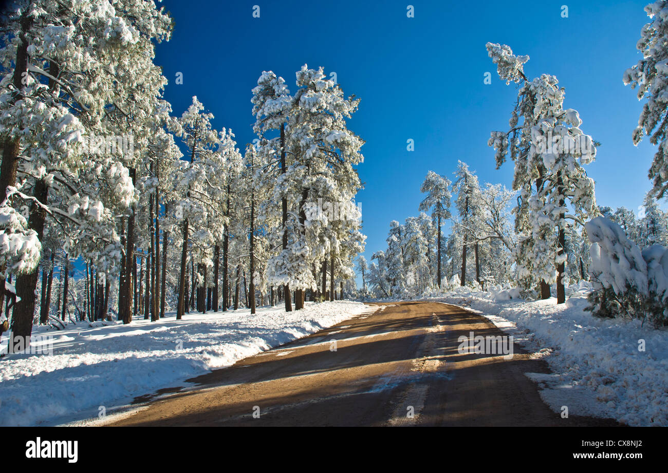 The Mogollon Rim is a topographical and geological feature running ...