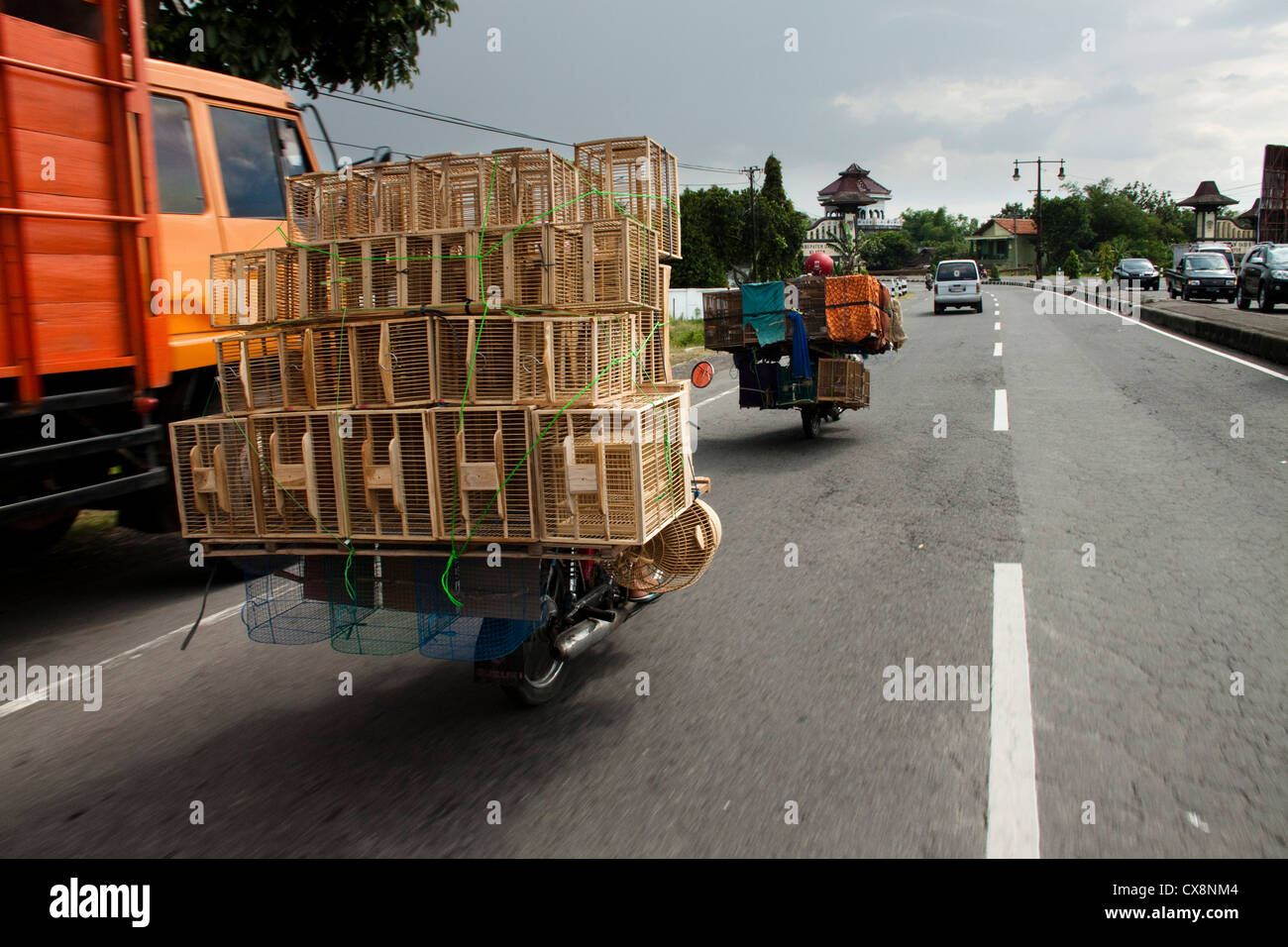 Transporting in Improper and unsafe way Stock Photo - Alamy