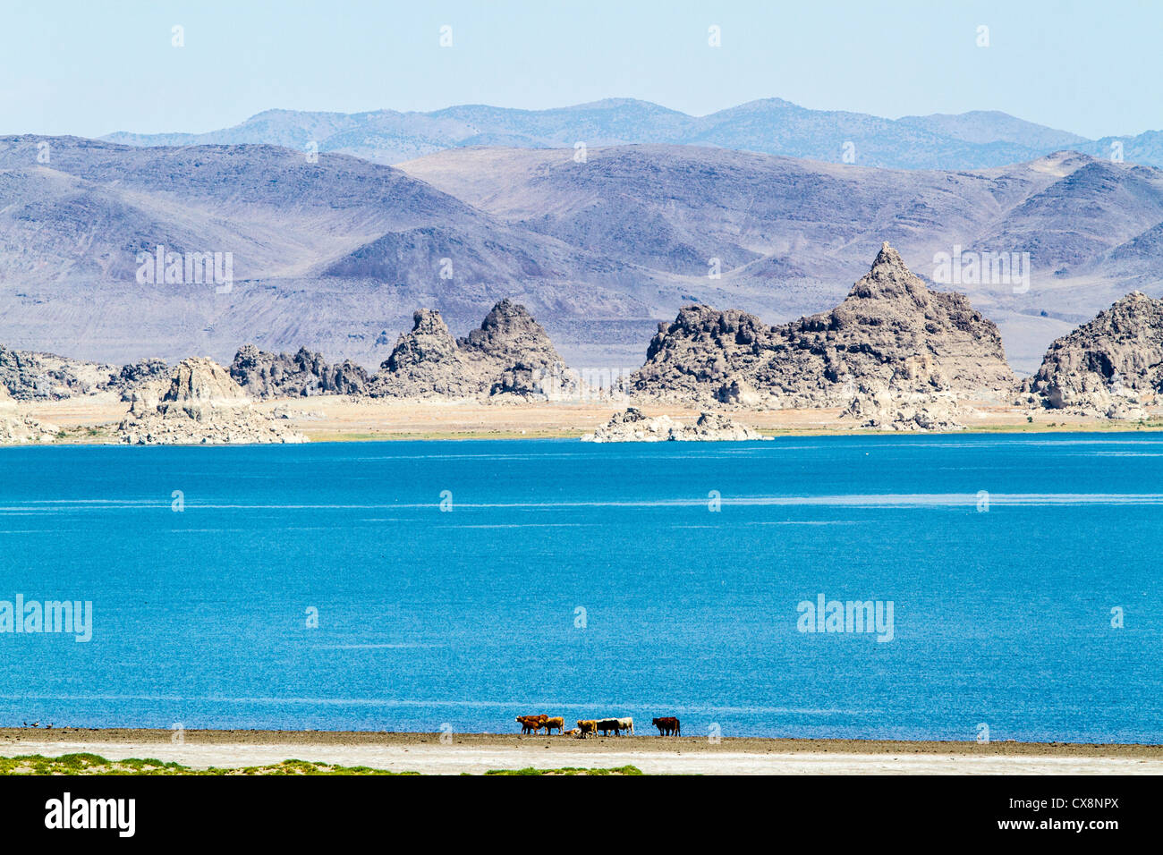 Nevada pyramid lake indian reservation hi-res stock photography and ...