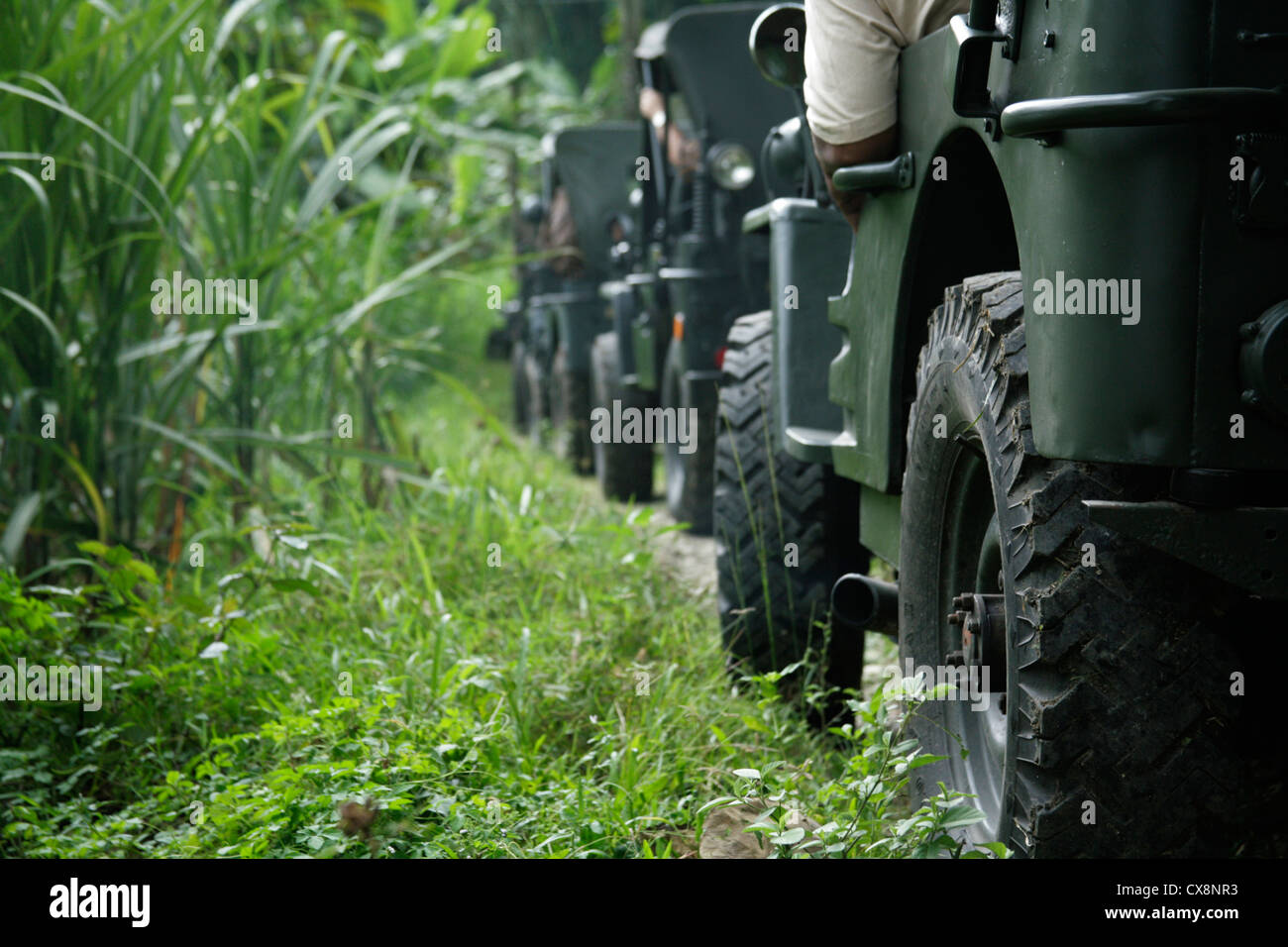 Old American Jeep Convoy Stock Photo - Alamy
