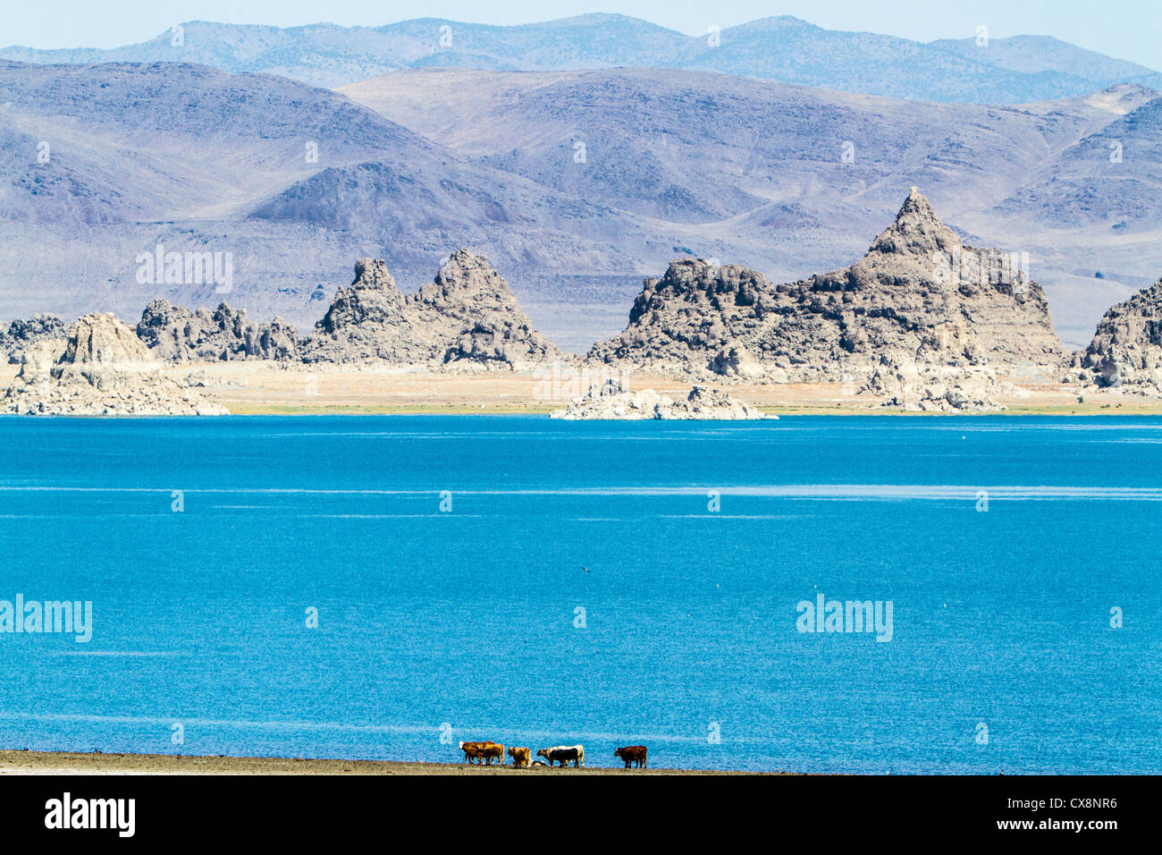 Scenes at Pyramid Lake in Northern Nevada on the Pyramid Lake Pauite ...
