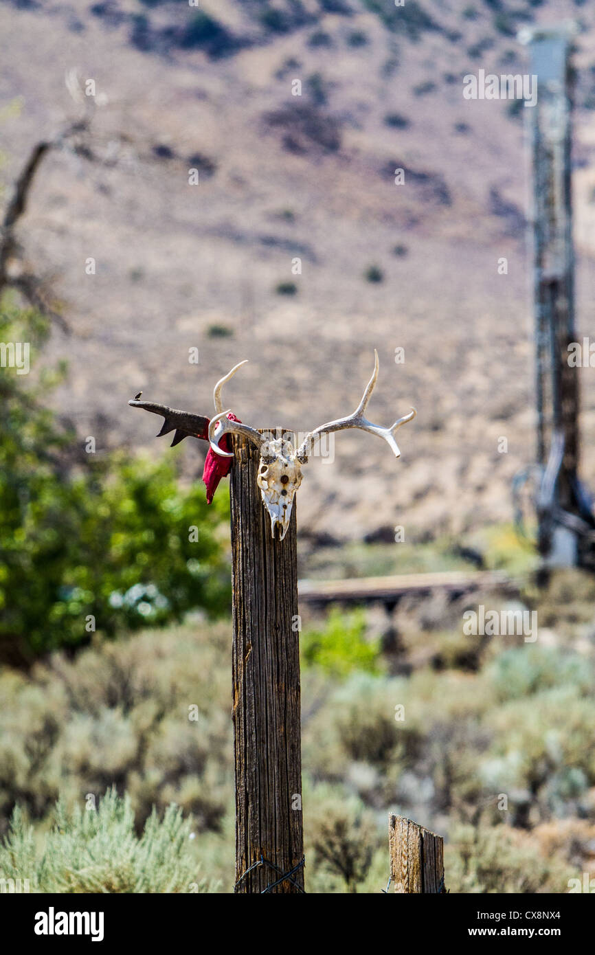A deer skull and antelope skull on a pole at the Pyramid Lake Indian ...