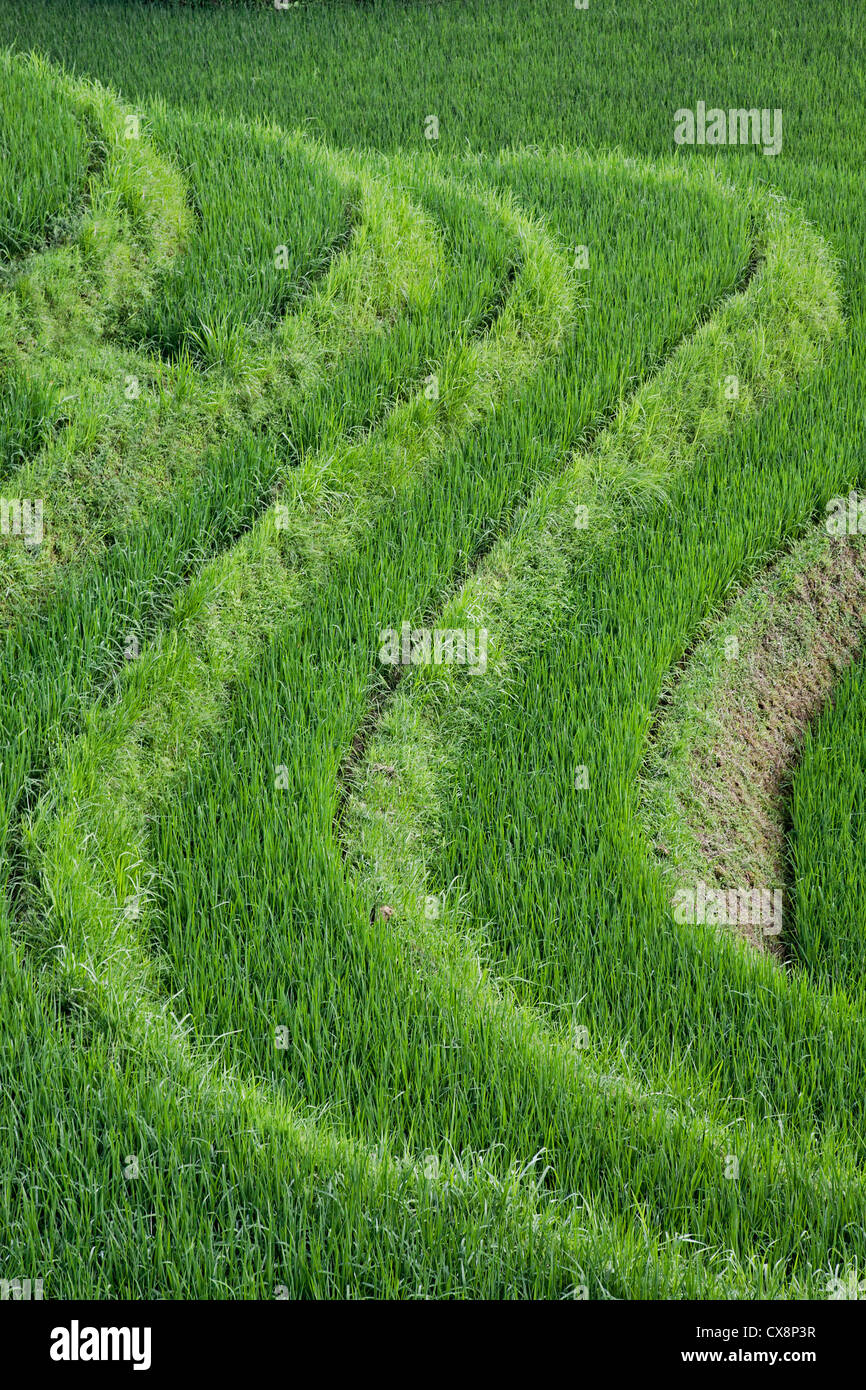 Mountains in southeast asia hi-res stock photography and images - Alamy