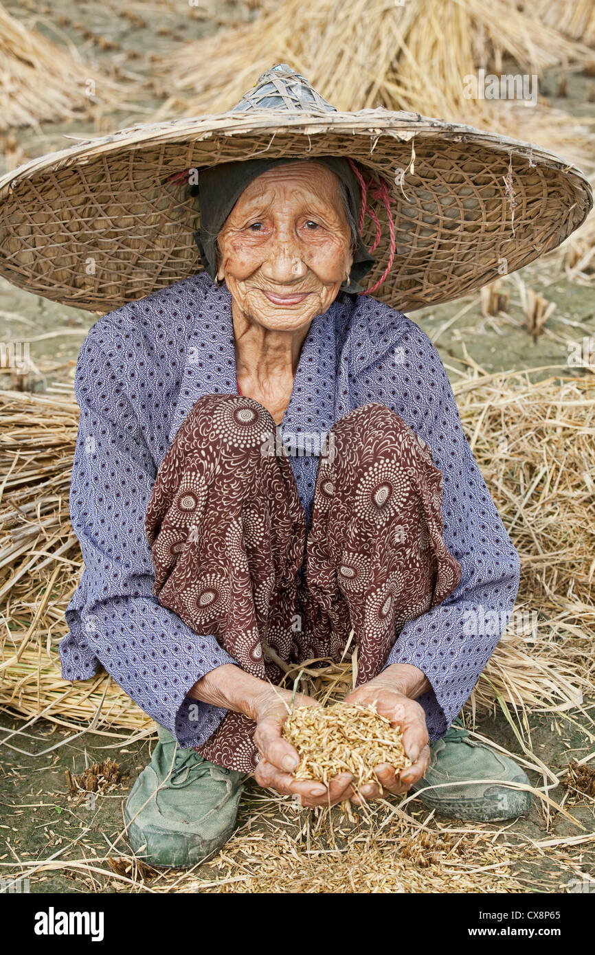 China rice paddy worker hi-res stock photography and images - Alamy