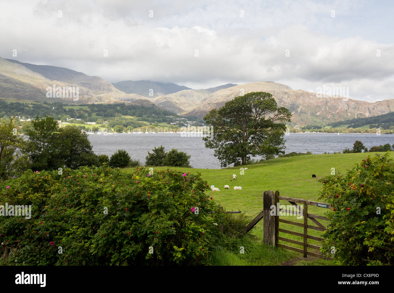 Coniston water in the lake district hi-res stock photography and images ...