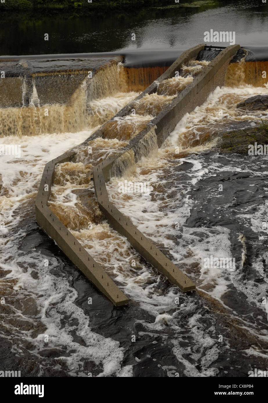 Fish ladder and dam at Fox Roost, Newfoundland Stock Photo - Alamy