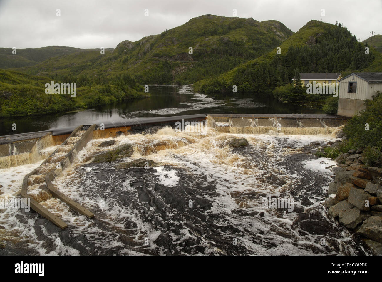 Fish ladder and dam at Fox Roost, Newfoundland Stock Photo - Alamy