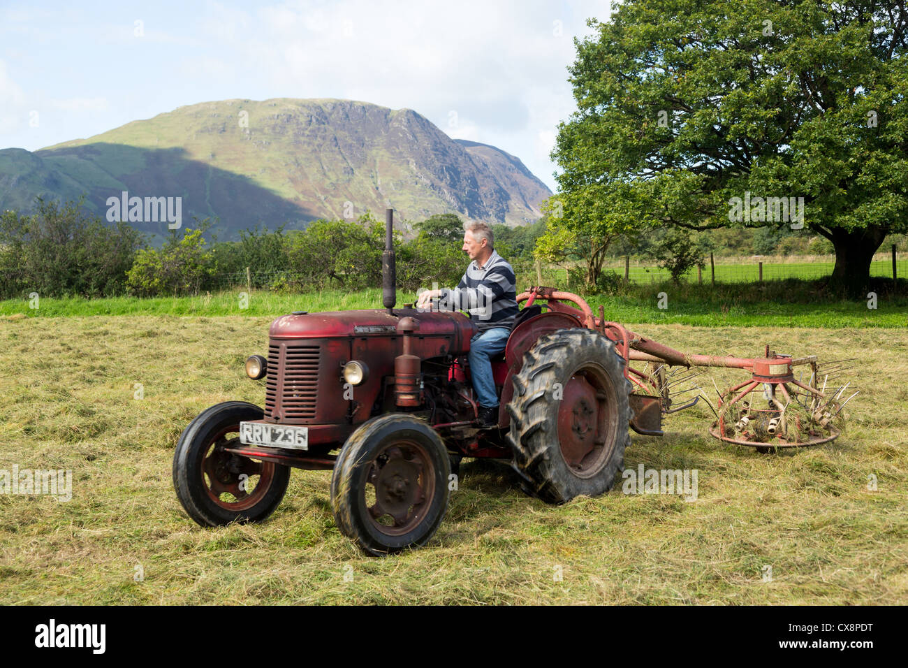 BUTTERMERE, ENGLAND - SEPTEMBER 5: Farmer threshing corn using antique ...