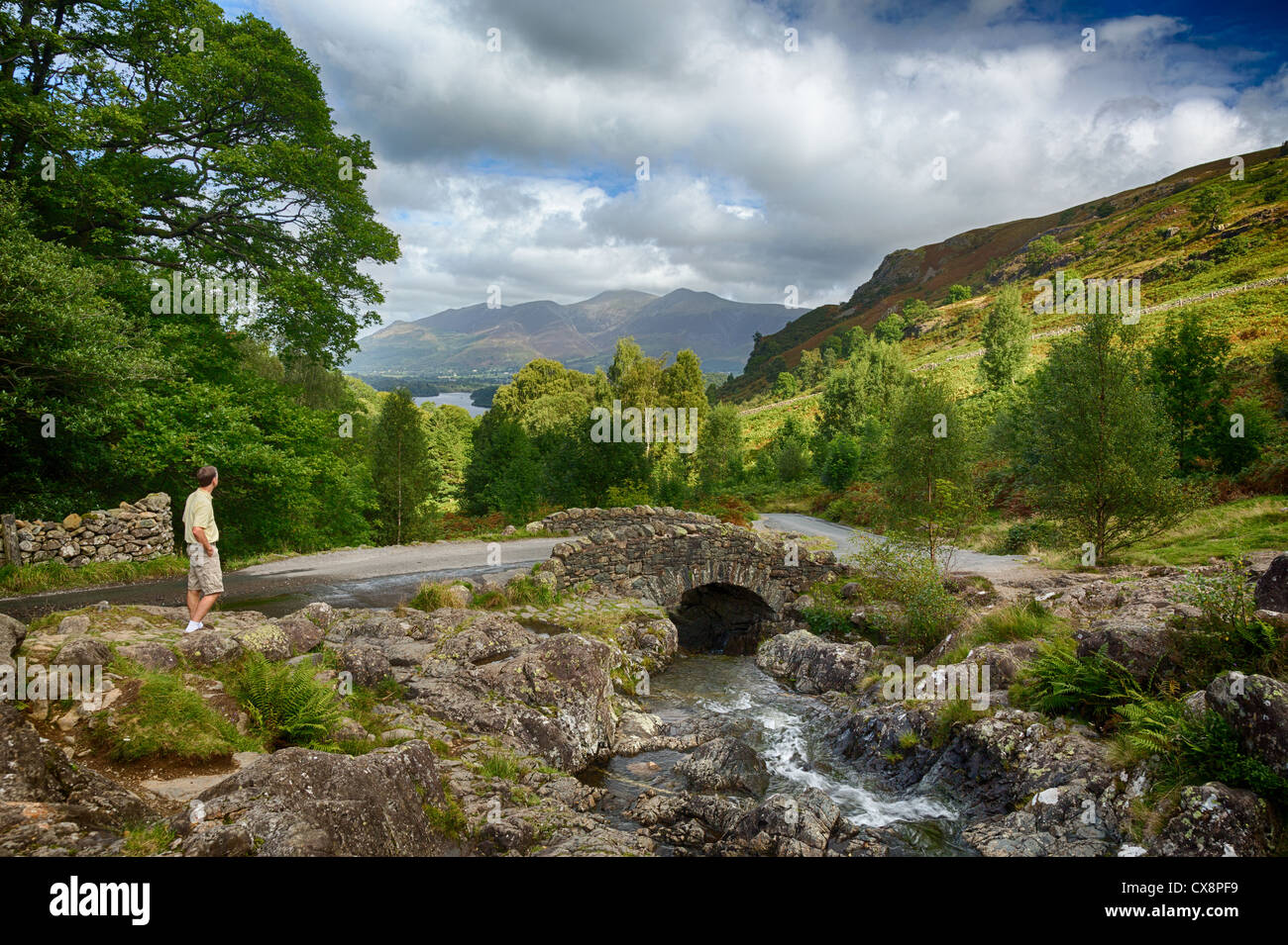 Lakeland bridge hi-res stock photography and images - Alamy