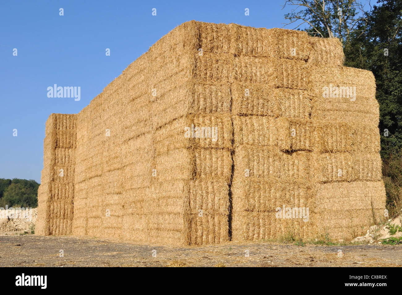 Straw bales drying hi-res stock photography and images - Alamy