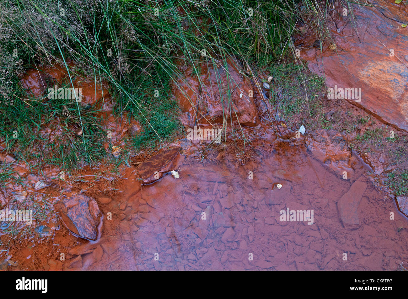 Iron Red Rust Water Stain Ferric Ferrous High Resolution Stock ...