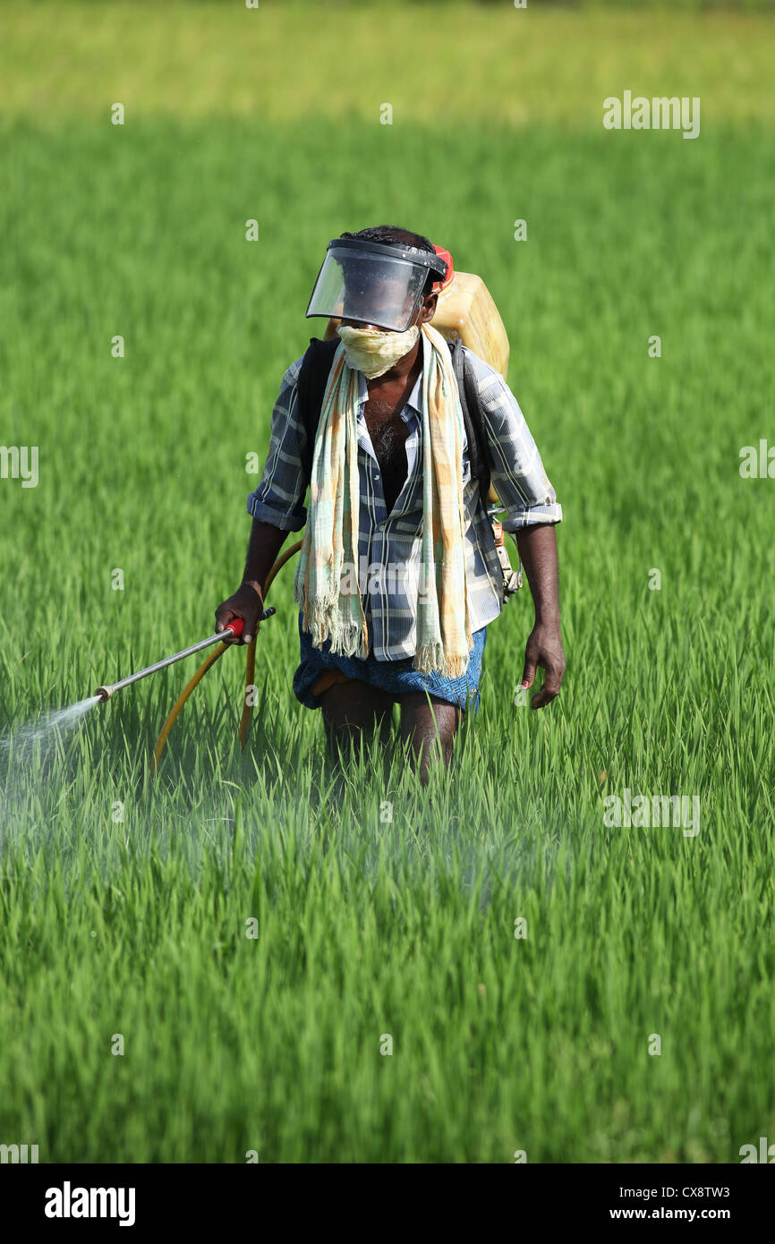 Indian farmer hi-res stock photography and images - Alamy