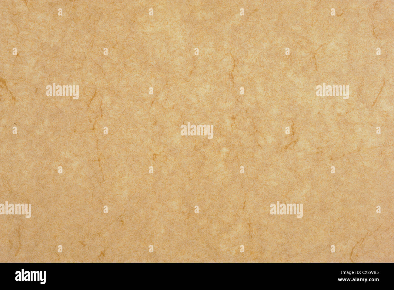 natural pattern of parchment paper Stock Photo - Alamy