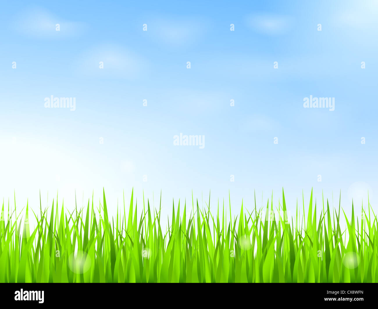 Green grass and blue sky with clouds Stock Photo - Alamy