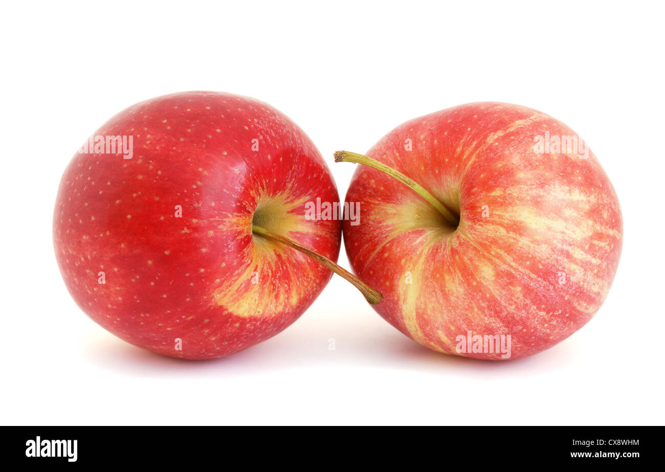Two red apples isolated on white background Stock Photo - Alamy