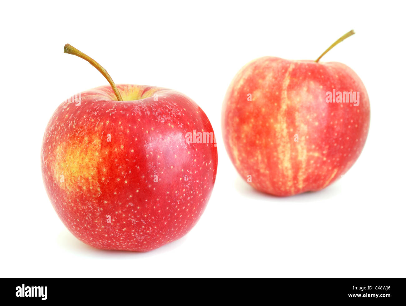 Two red apples isolated on white background Stock Photo - Alamy