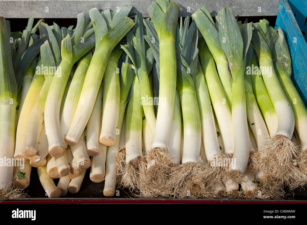 Leek market hi-res stock photography and images - Alamy