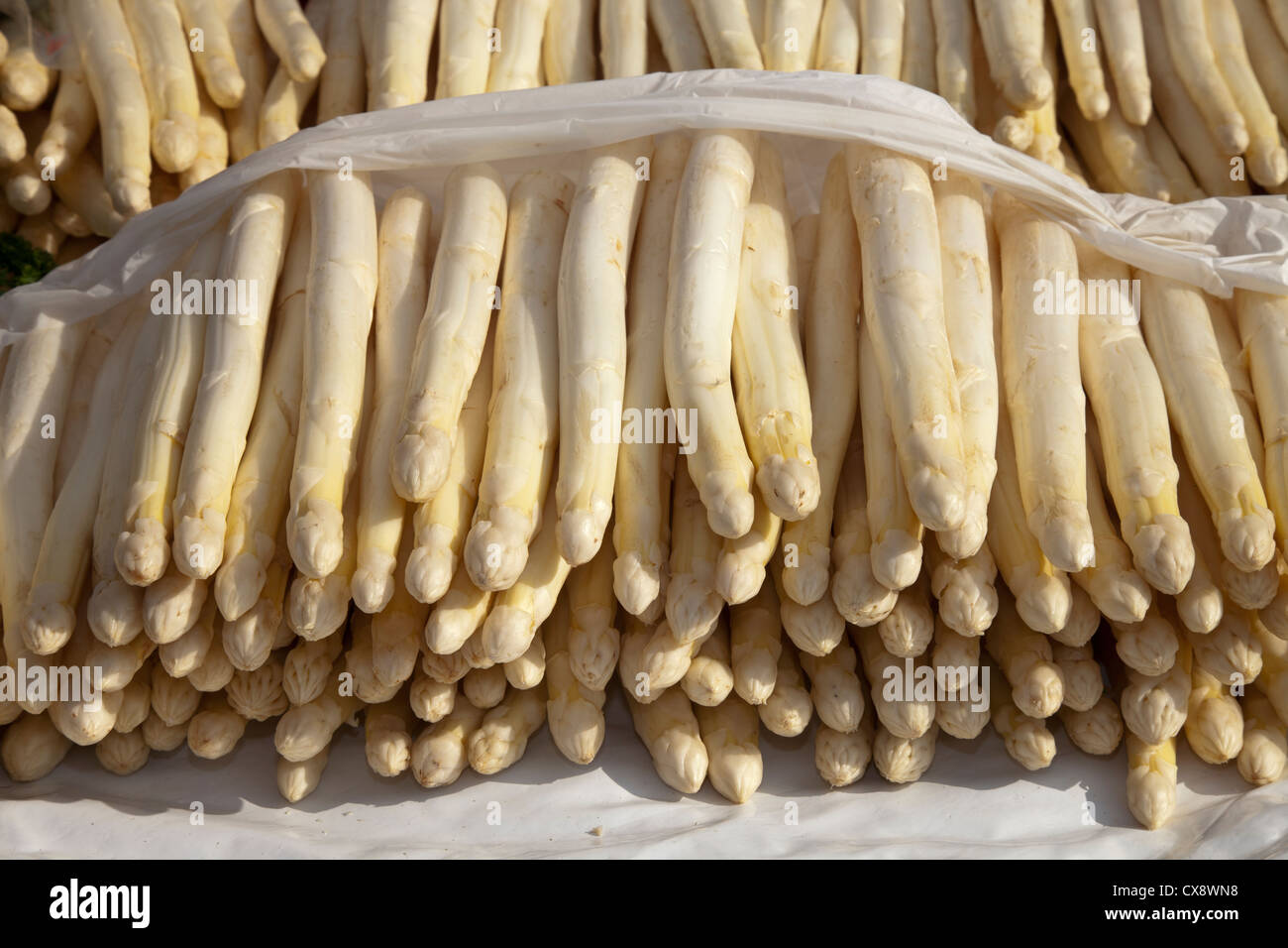 Asparagus harvest hi-res stock photography and images - Alamy