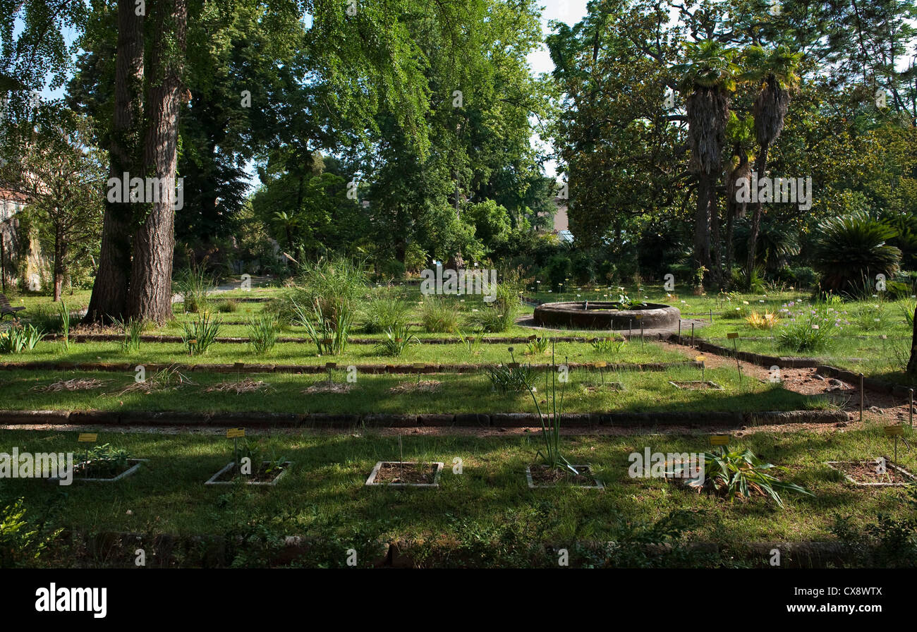 The Orto Botanico (botanic gardens) in Pisa, Italy, founded in 1544 by ...