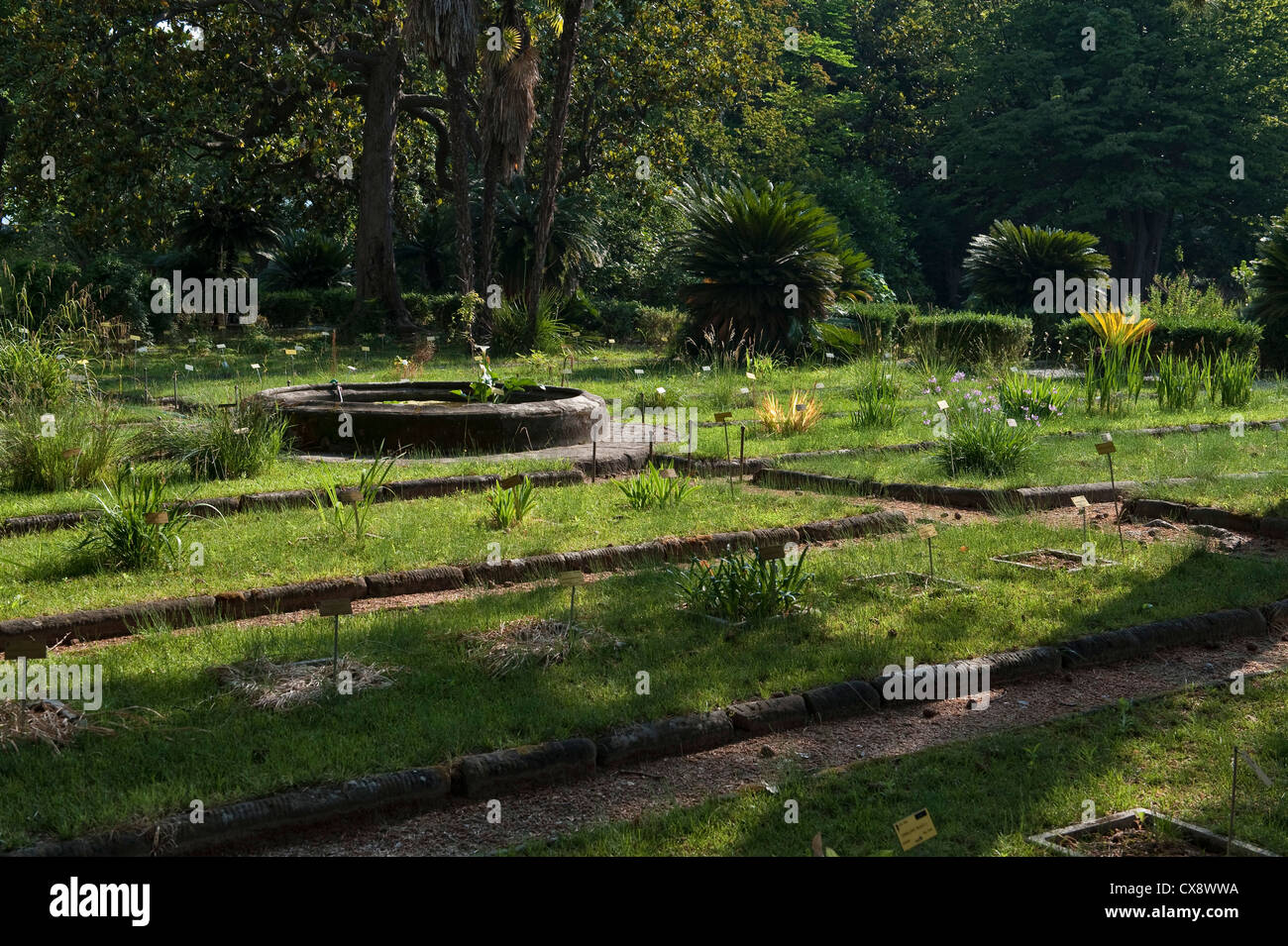 The Orto Botanico (botanic gardens) in Pisa, Italy, founded in 1544 by ...