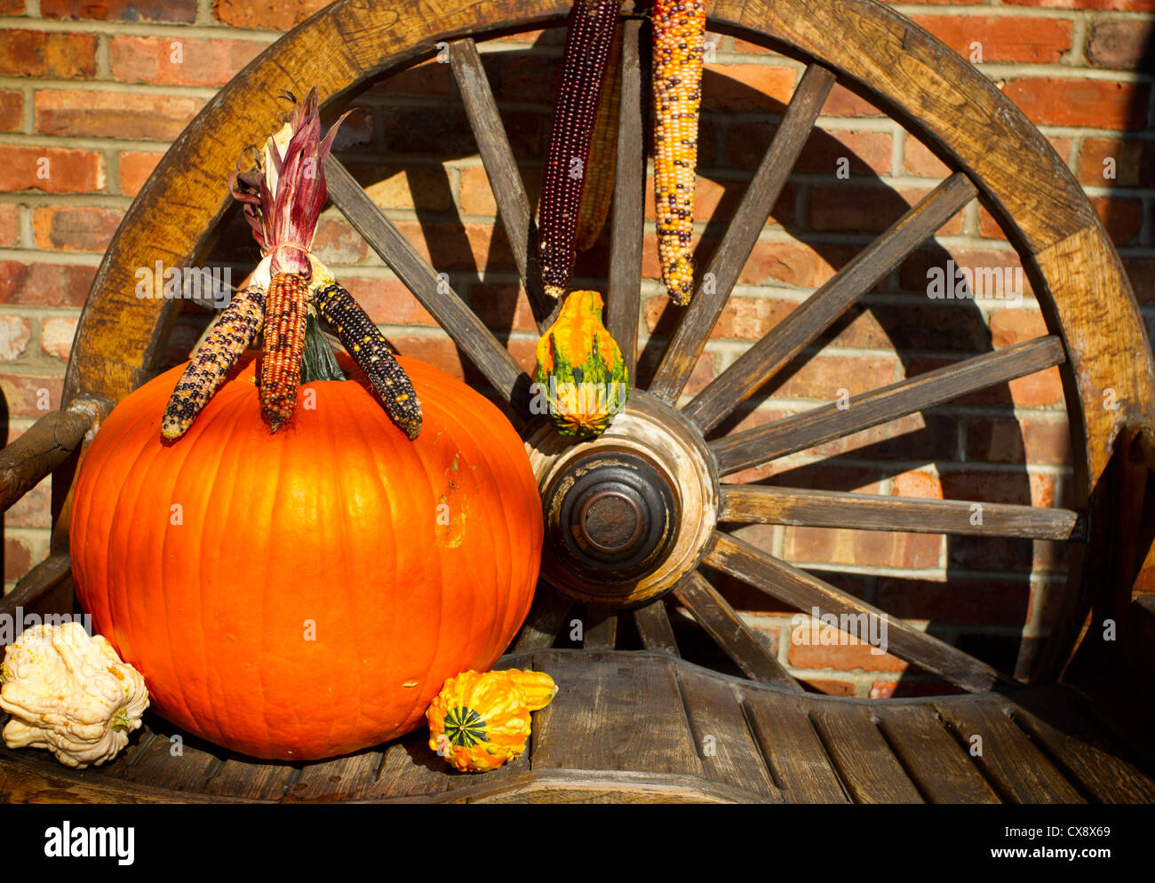 Pumpkins on display at a farm stand Stock Photo - Alamy