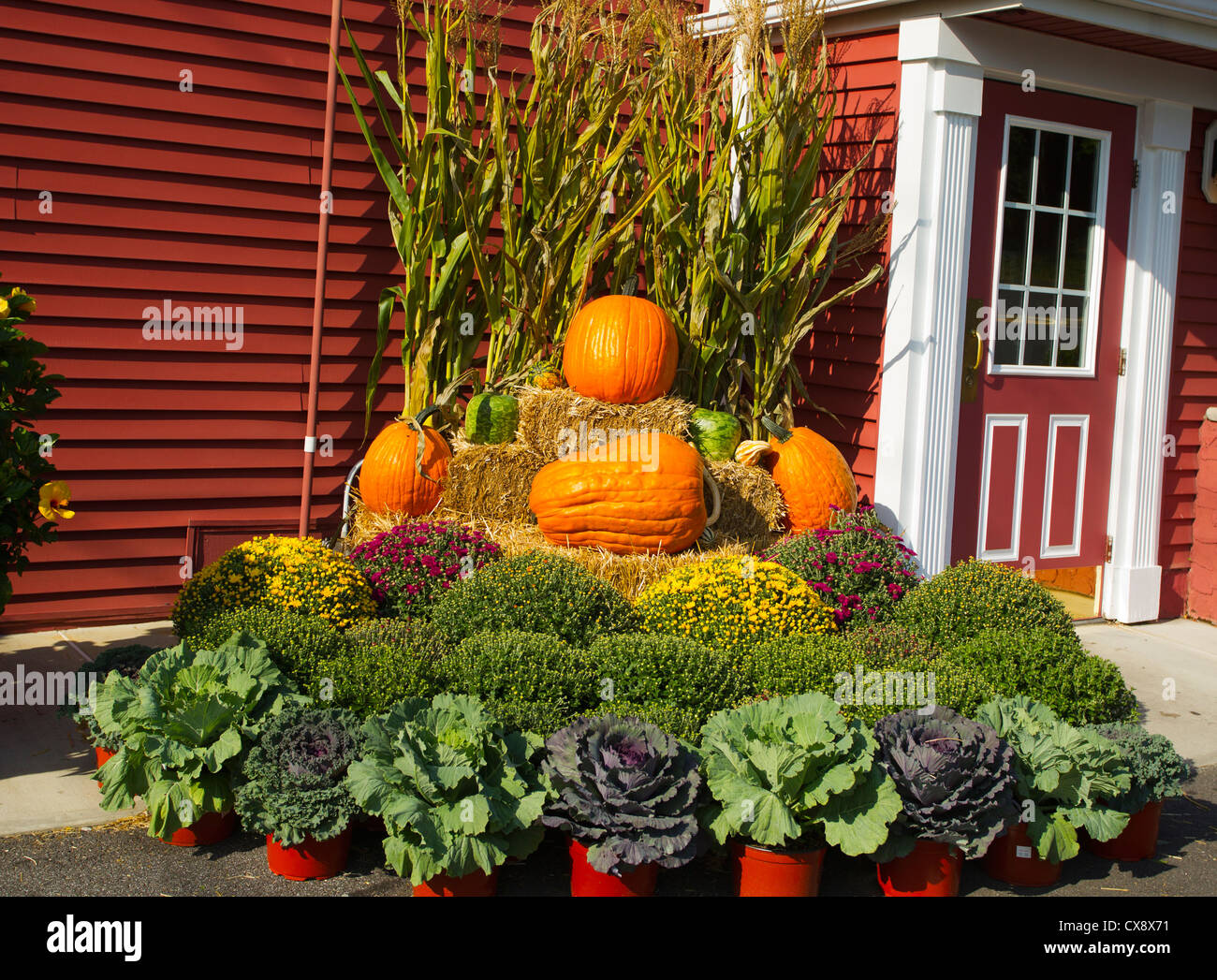 A fall display in front of a store Stock Photo - Alamy