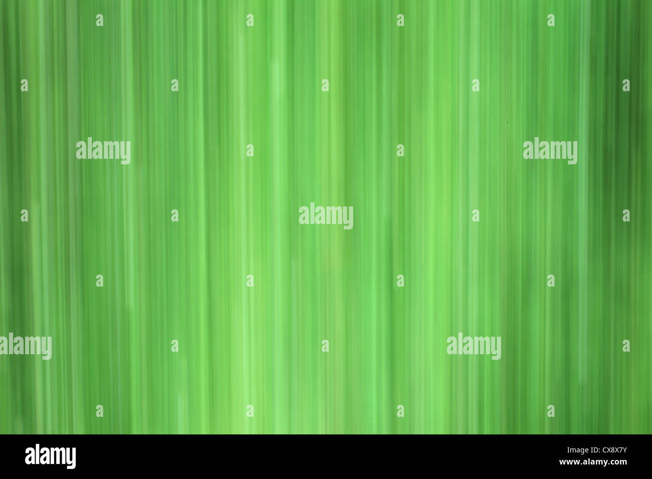 Green blurred for backgrounds Stock Photo - Alamy