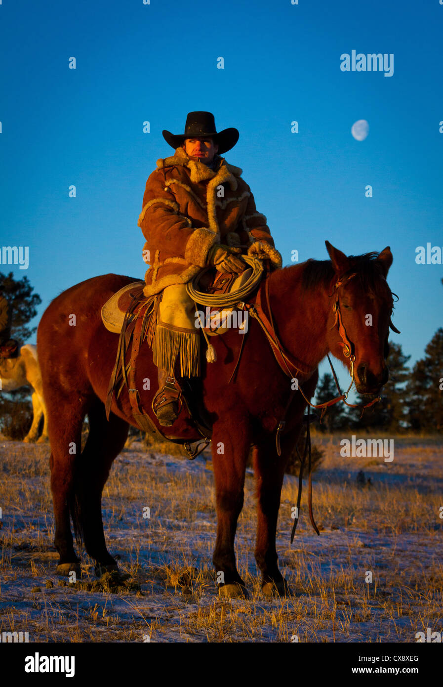 Cowboy on his horse on a ranch in northeastern Wyoming Stock Photo - Alamy