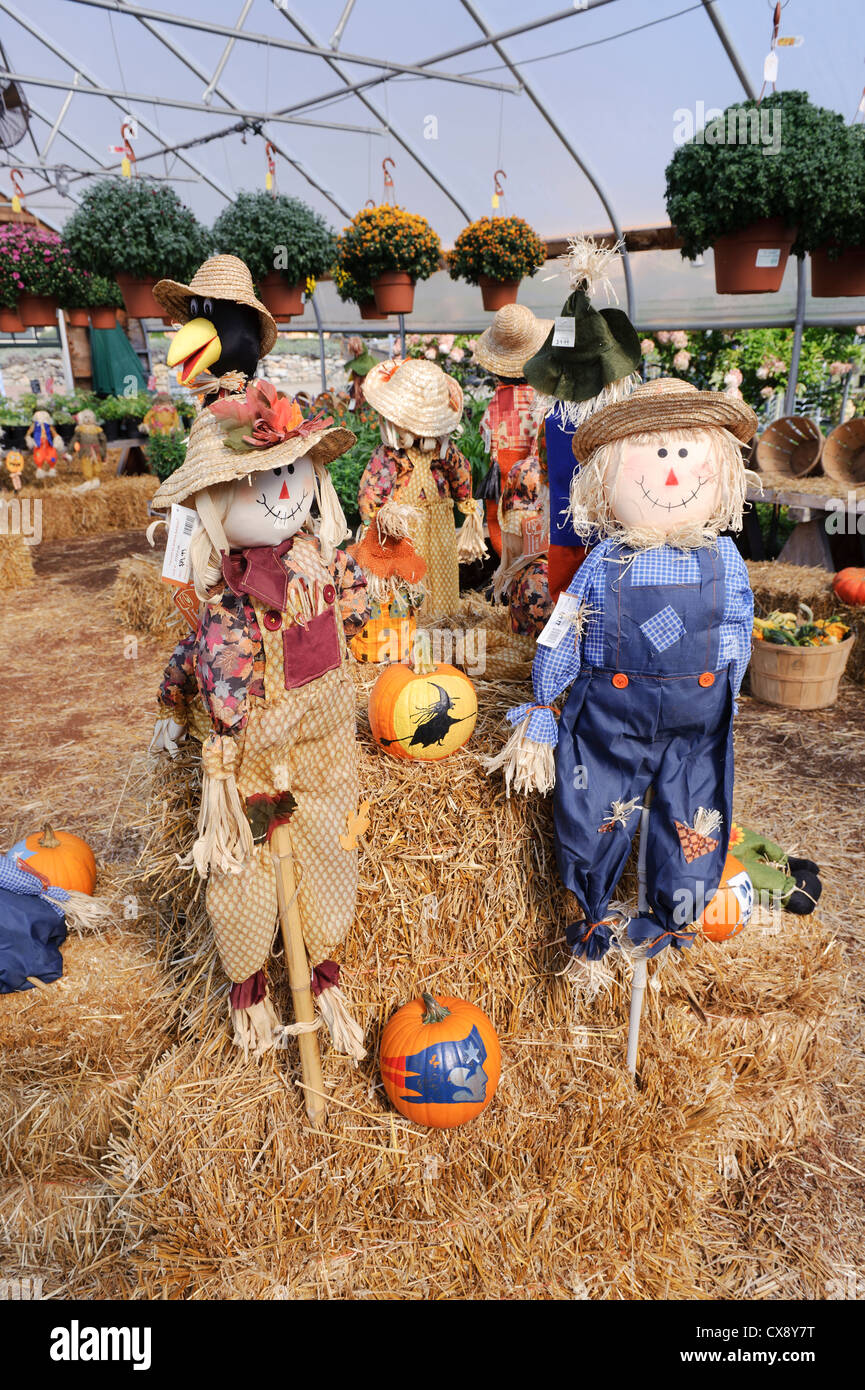 Scarecrow Halloween Display at Madeline Todd blog