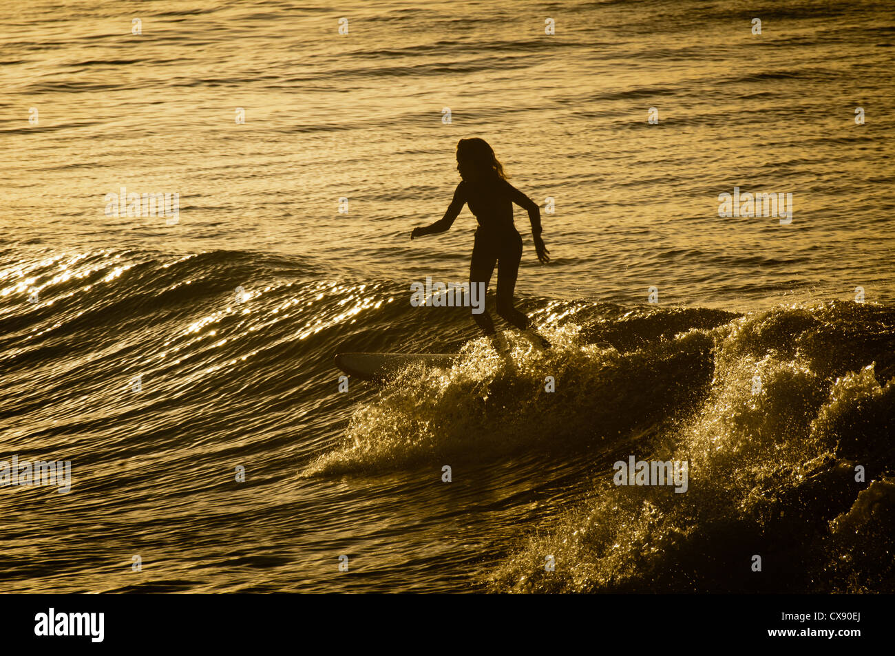 Surfer on a wave Stock Photo - Alamy