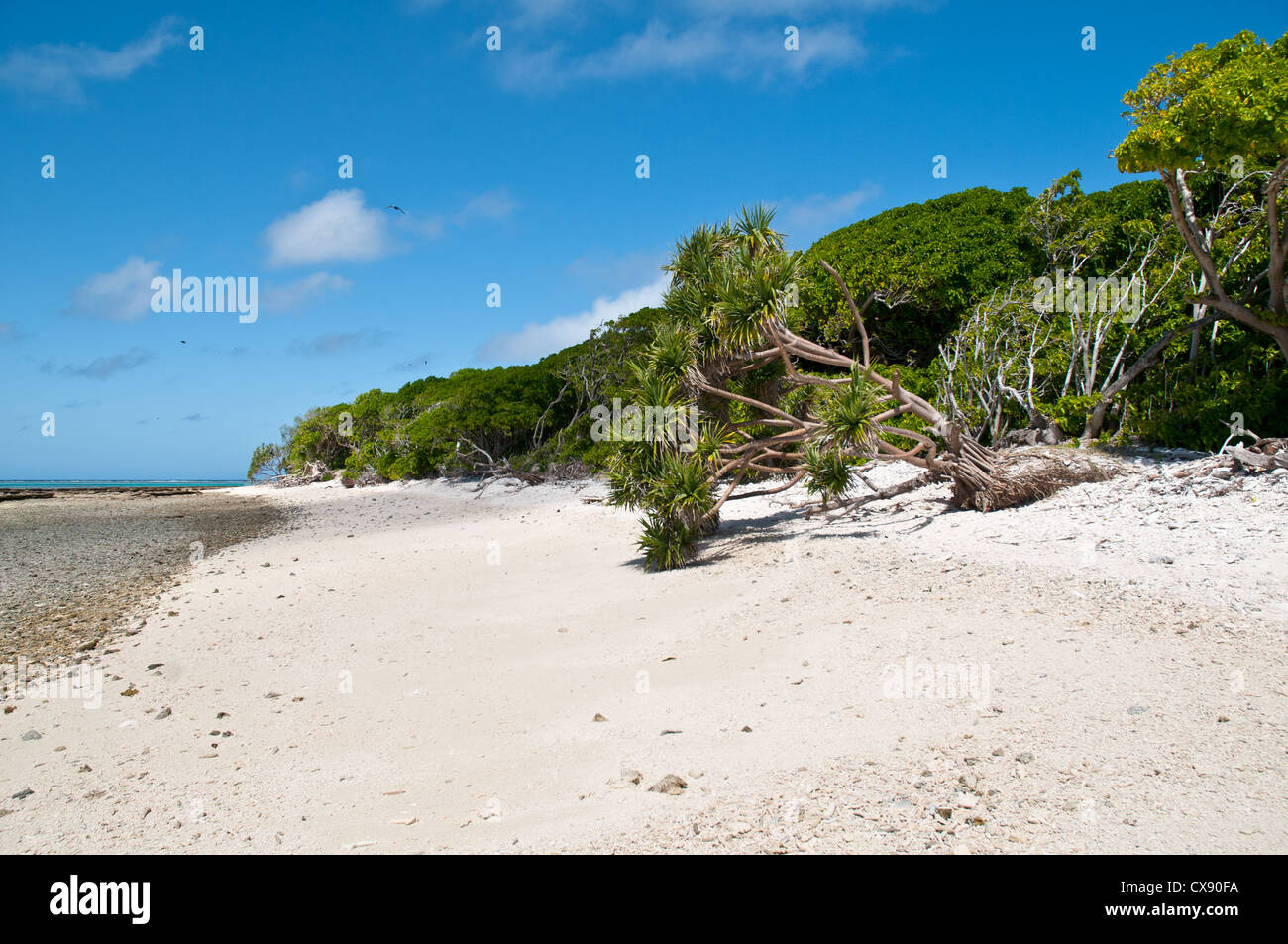 Dive Boat - Lady Musgrave Island, Queensland Stock Photo - Alamy
