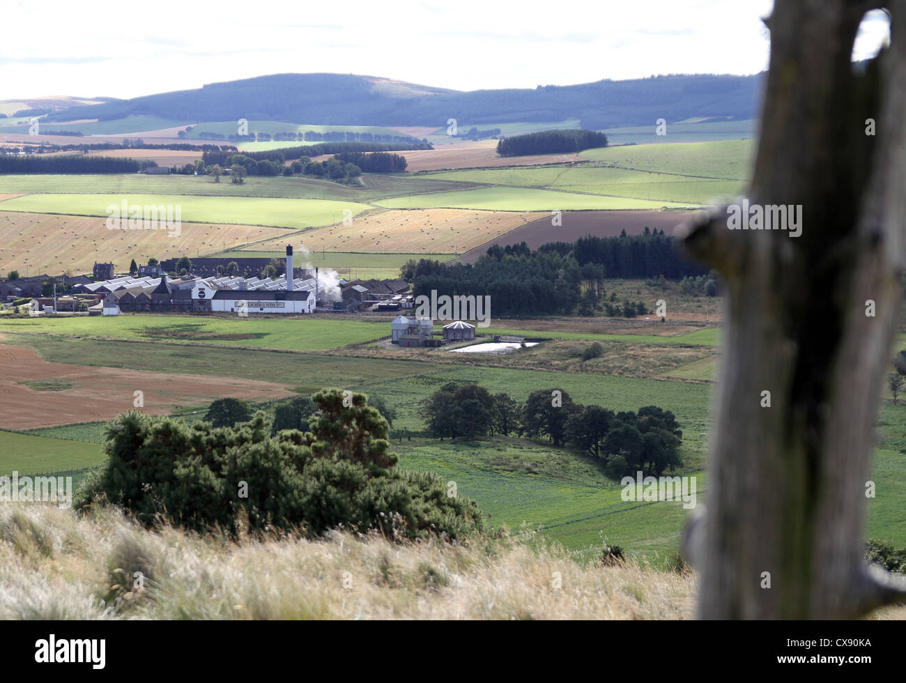 Ardmore Distillery Kennethmont Scotland Stock Photo - Alamy