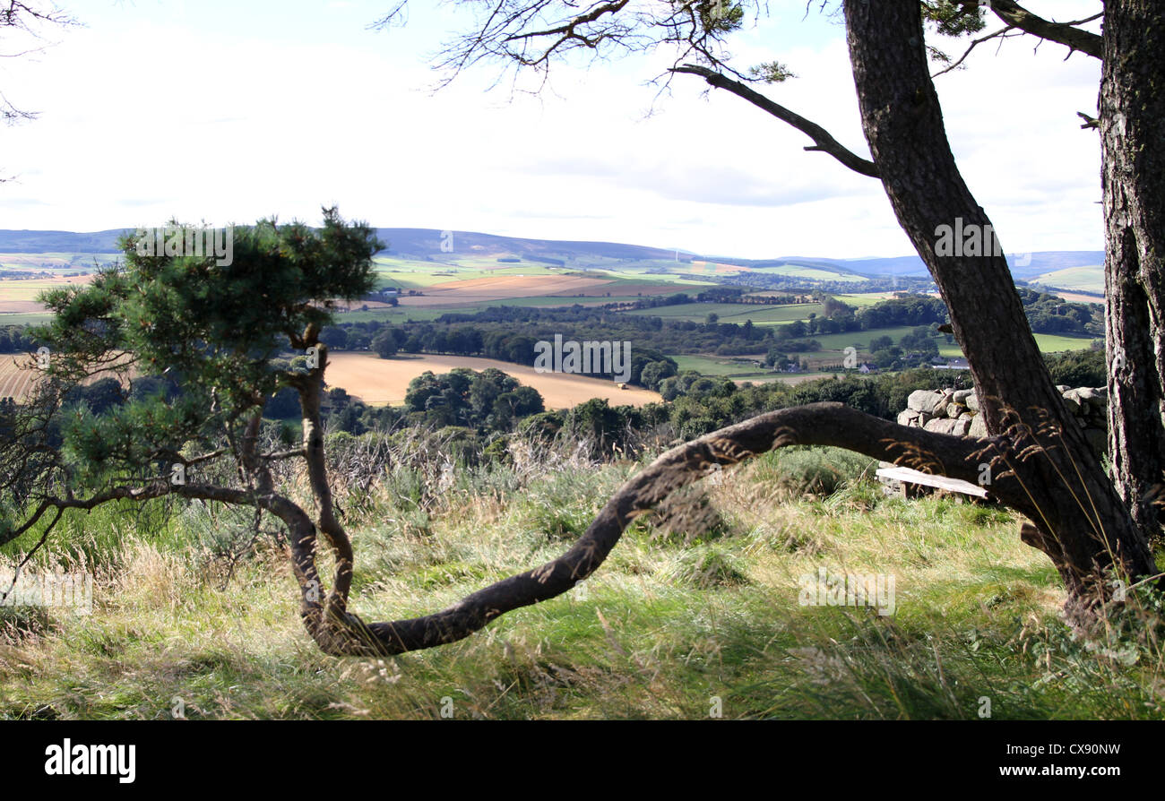 Kennethmont hi-res stock photography and images - Alamy