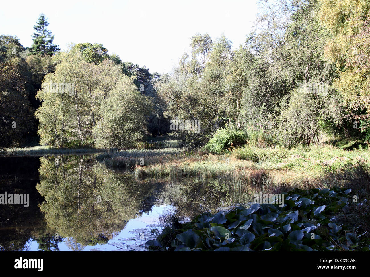 Leith hall scotland hi-res stock photography and images - Alamy
