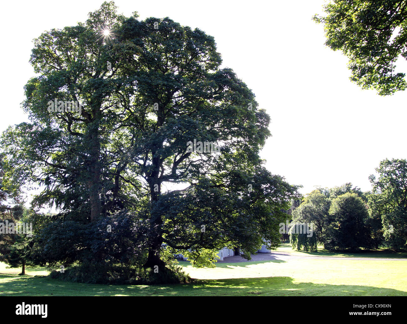 Leith hall hi-res stock photography and images - Alamy