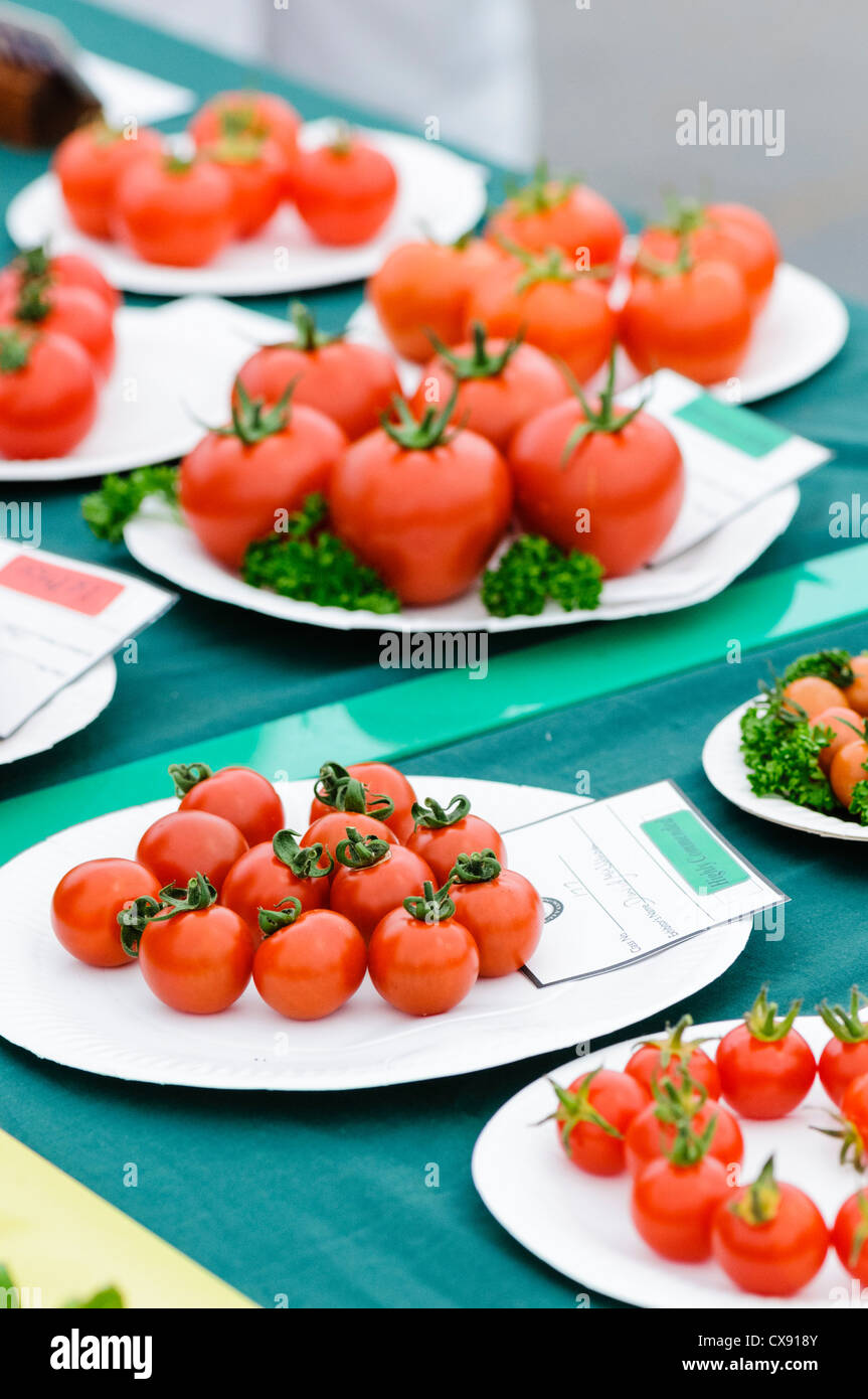 Vegetable growing competition hi-res stock photography and images - Alamy